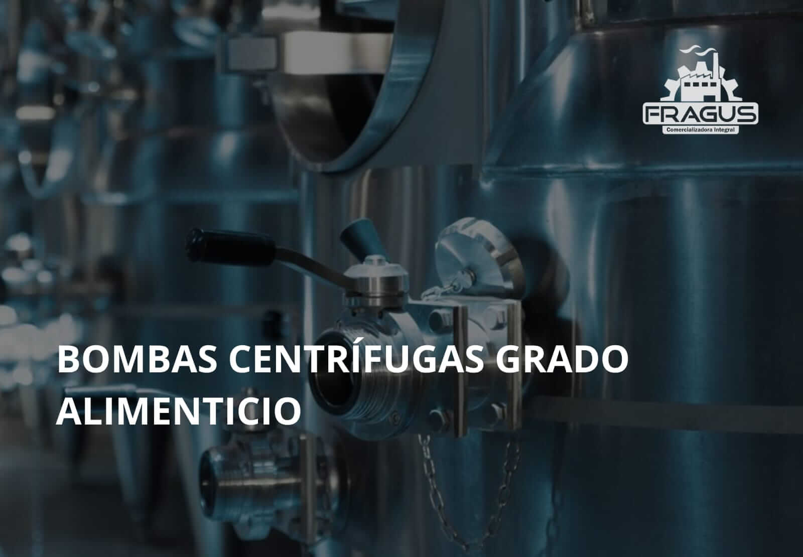 Reparación de Bombas Industriales en Monterrey | Fragus