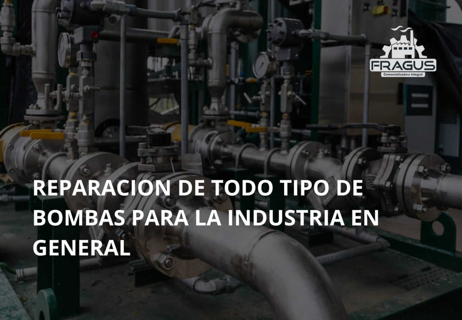 Reparación de Bombas Industriales en Monterrey | Fragus